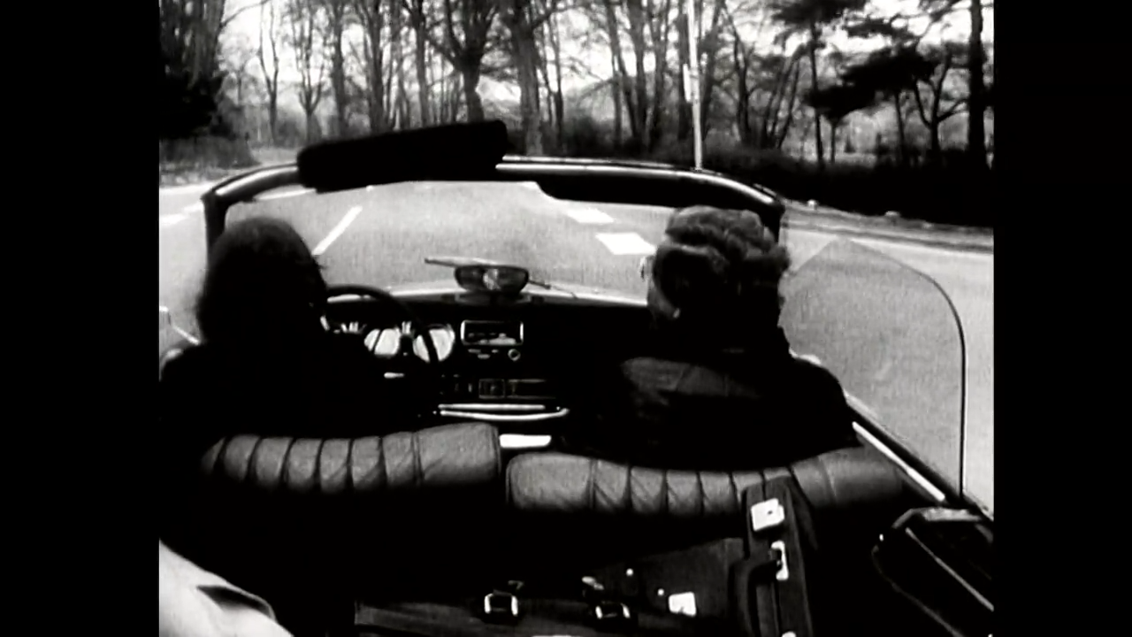 dctp.tv - "Grausam aber wahr".